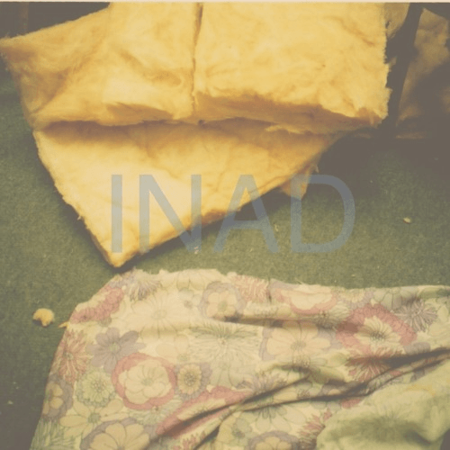 Inad - Blue Nue | Indie Shuffle